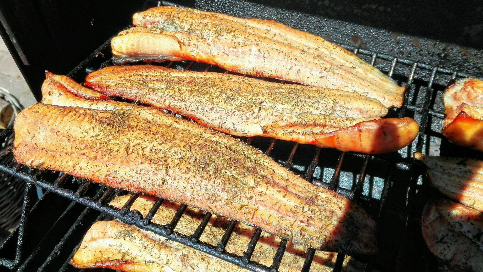 Vers Gerookte Meerval - Lokaal Oirschot